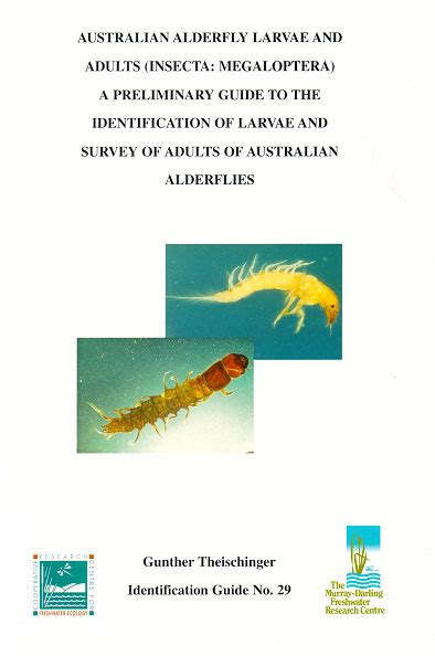 Australian Alderfly Larvae And Adults Insecta Megaloptera A Preliminary Guide To The