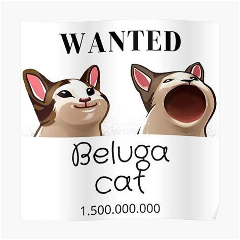 Beluga Cat Wallpapers