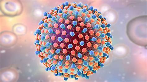 Is Sex Safe If One Person Has Hepatitis C