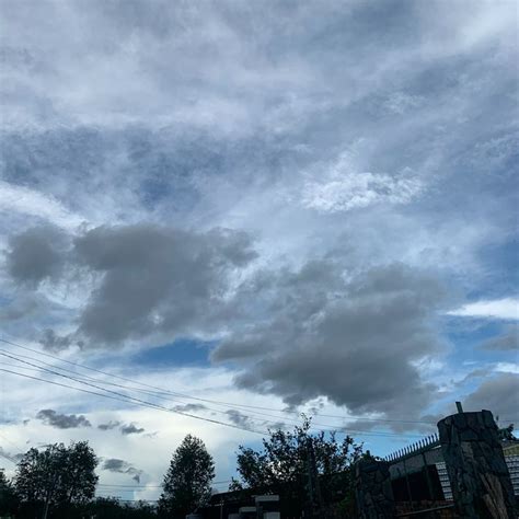 Ghim C A Thanhh Th Tr N Ghim C A B N