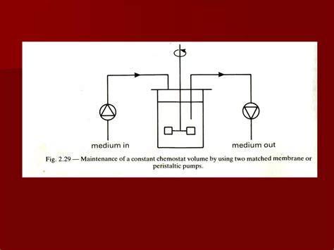 Batch Fed Batch Continuous Cultivation PPT Biological Sciences Science