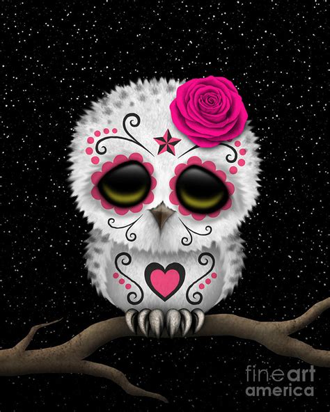 Sugar Skull Owl Drawing