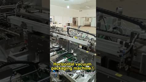 Duck Egg Vacuum Packaging Equipment Slitting Coil Packaging Line