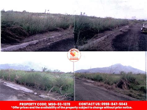 Msg 03 1378 Palacio Real Subdbrgy Makiling Calamba City Laguna