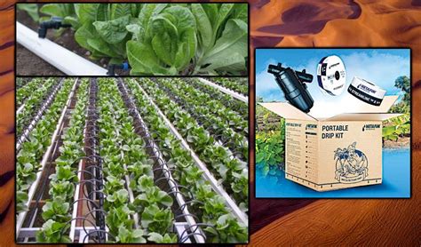 Netafim India Unveils A Revolutionary Portable Drip Kit The Agrotech