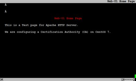 Setup Ssl Certificate Authority In Centos 7 Centlinux