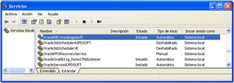 Instalar Oracle Database 11g Standard Edition En Windows Acp