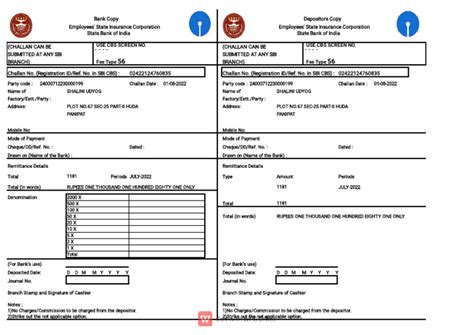 Shalini Udyog Esi Challan July 2022 Pdf Banks Cheque