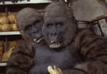 Gorilla Mouth Open S Tenor