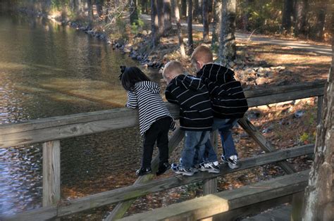 Dsc4728 Daniel Burkhead Flickr