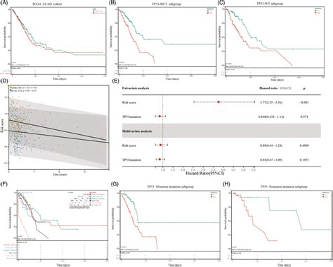 ipm performance in groups classified by tp53 status in tcga‐luad
