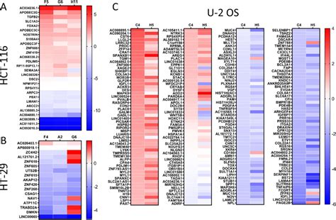 Genome Wide Rna Sequencing Of The Differentially Regulated Genes After