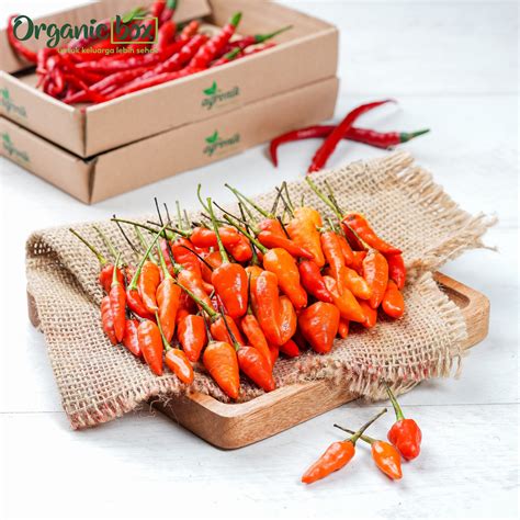 Cabe Rawit Merah Organic Box
