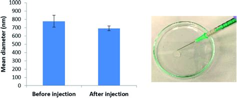 Left Mean Diameter Of Dbs Conhnh2alginate Two Component Microgels Download Scientific