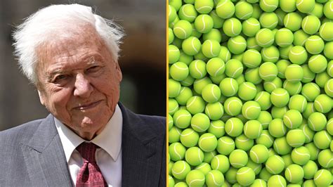 Sir David Attenborough Is The Reason Why Tennis Balls Are Yellow