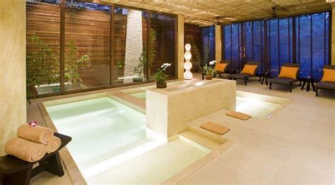 Spa Cenvaree Hot And Cold Plunge Pool Spa Cenvaree Home Spa Room Hot