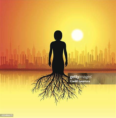 Sapling Tree Silhouette Photos And Premium High Res Pictures Getty Images