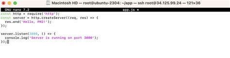 How To Install Pm2 In Ubuntu 2304 Devtutorial