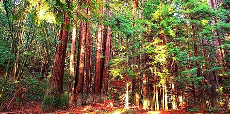 11 Unforgettable Fall Getaways From Oakland