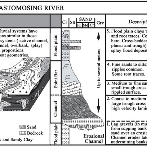 Depositional Components Of Anastomosing River Depositional Environment