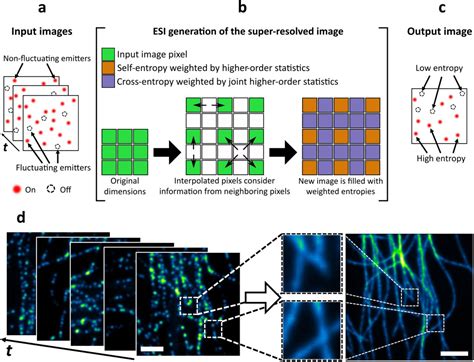 Github Roccodantnapari Superres Super Resolution Napari Plugins Collection