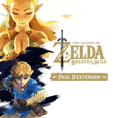 Pass Dextension The Legend Of Zelda Breath Of The Wild My Nintendo
