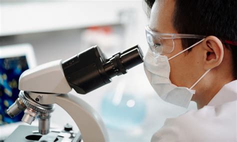 Reliable Endotoxin Testing Cpt Labs