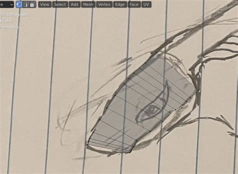 model progress 2 fandom