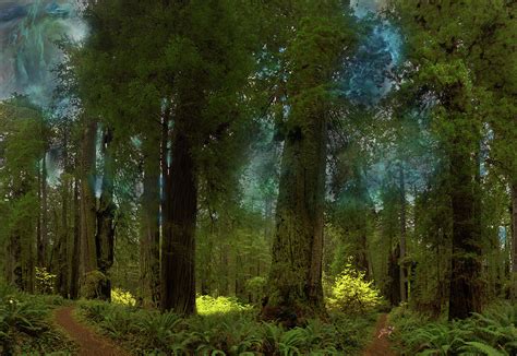 Moonlit Maples Under Fantastic Night Forest Digital Art By Bruce Remington Pixels