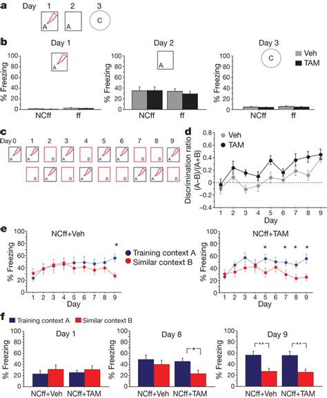 Increasing Adult Hippocampal Neurogenesis Is Sufficient To Improve Download Scientific Diagram