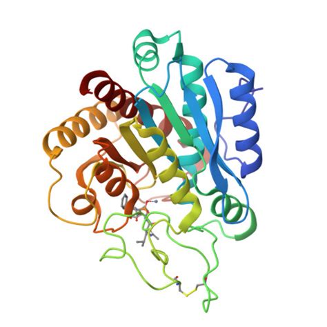 Rcsb Pdb 4uez Crystal Structure Of The Human Carboxypeptidase A1 In