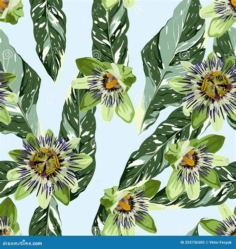 Seamless Floral Pattern With Tropical Passiflora Flowers With Exotic