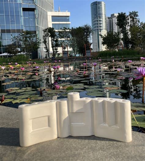 Anat Stein חנוכייה חדשה בשכונה חנוכיית שלום Hadas Kruk Facebook