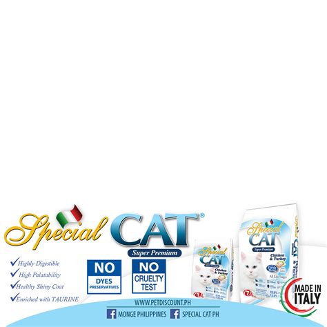 Special Cat Ph