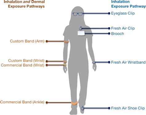 What Is Passive Samplers At Ted William Blog
