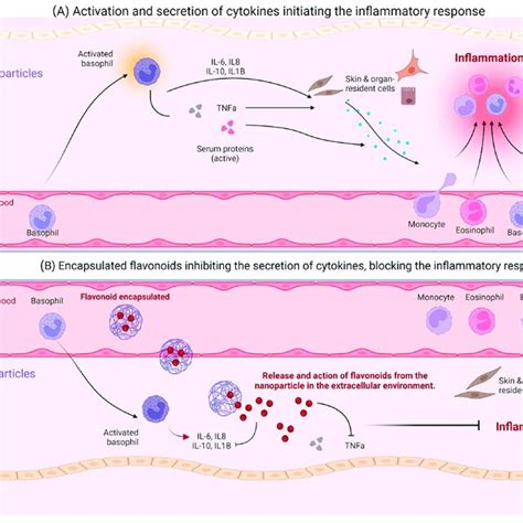 Skeleton Of Flavonoids Structural Skeleton Of Flavonoids Highlighting Download Scientific