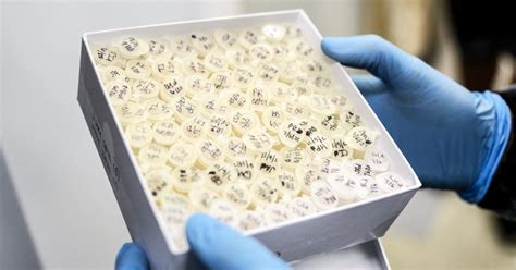 Cdc Says 2 More Places Will Test Sewage For Polio