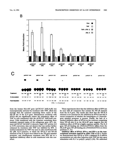 Transcriptional Inhibition Of The Interleukin 8 Gene By Interferon Is Mediated By The Nf Kappa B