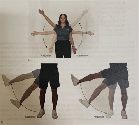 Chapter 2 Movements Of The Body Flashcards Quizlet