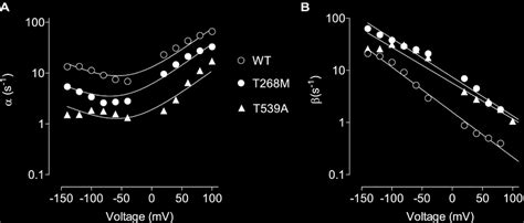Voltage Dependence Of Opening And Closing Rate Constants Of The Common