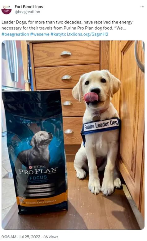 Purina One Vs Pro Plan