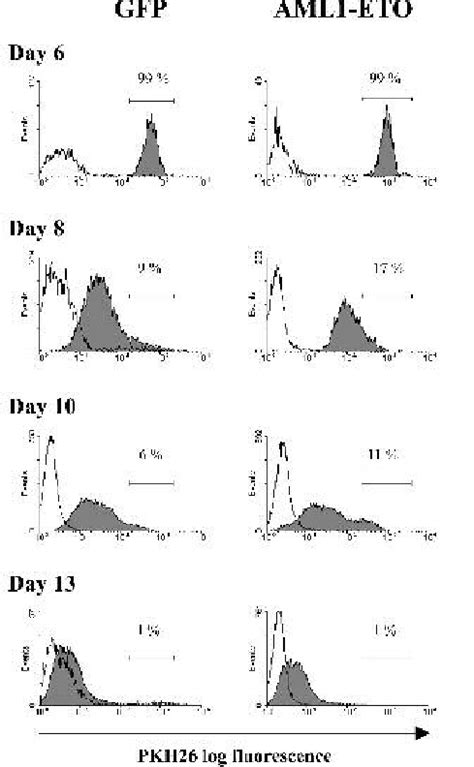 Flow Cytometric Analysis Of Erythroid Bulk Culture Cells Tracked With