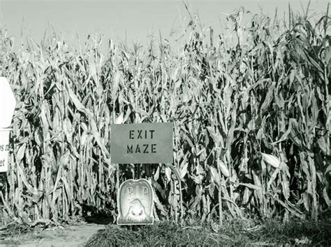 Real Maze