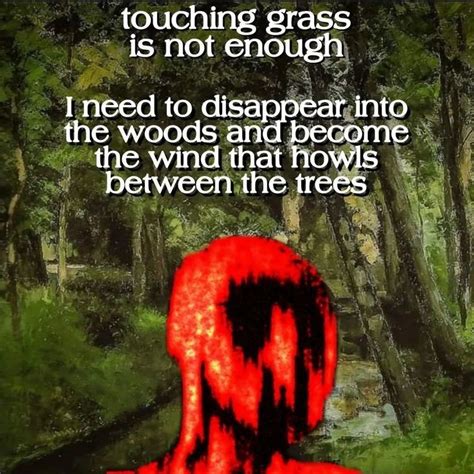Touching Grass Is A Temporary Solution R Schizoposters