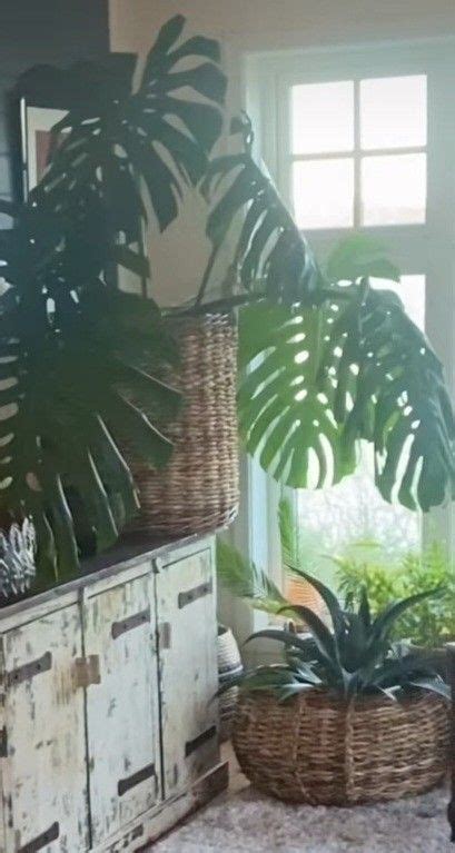 Кашпо для квітів