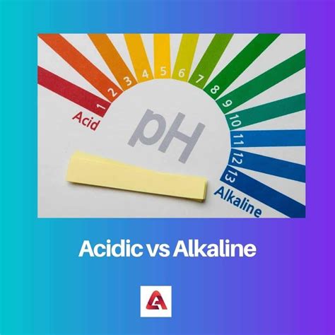 Acidic Vs Alkaline Difference And Comparison