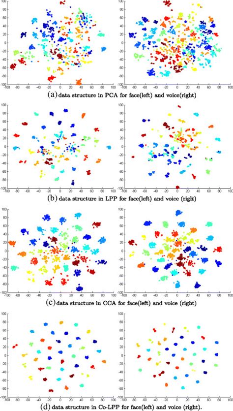 2 D T Sne Visualizations Of Data Structures Under Pca Lpp Cca And Download Scientific