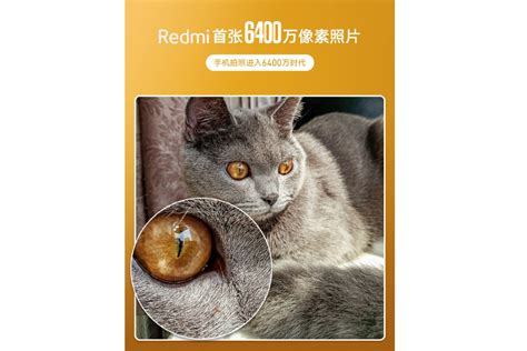 Redmi Phone With Megapixel Camera Teased Through A Camera Sample Technology News