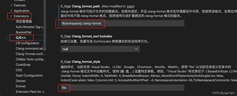 代码规范：基于clang Format静态扫描实践总结clang Format Csdn Csdn博客