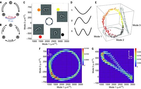 Active Matter Nonequilibrium